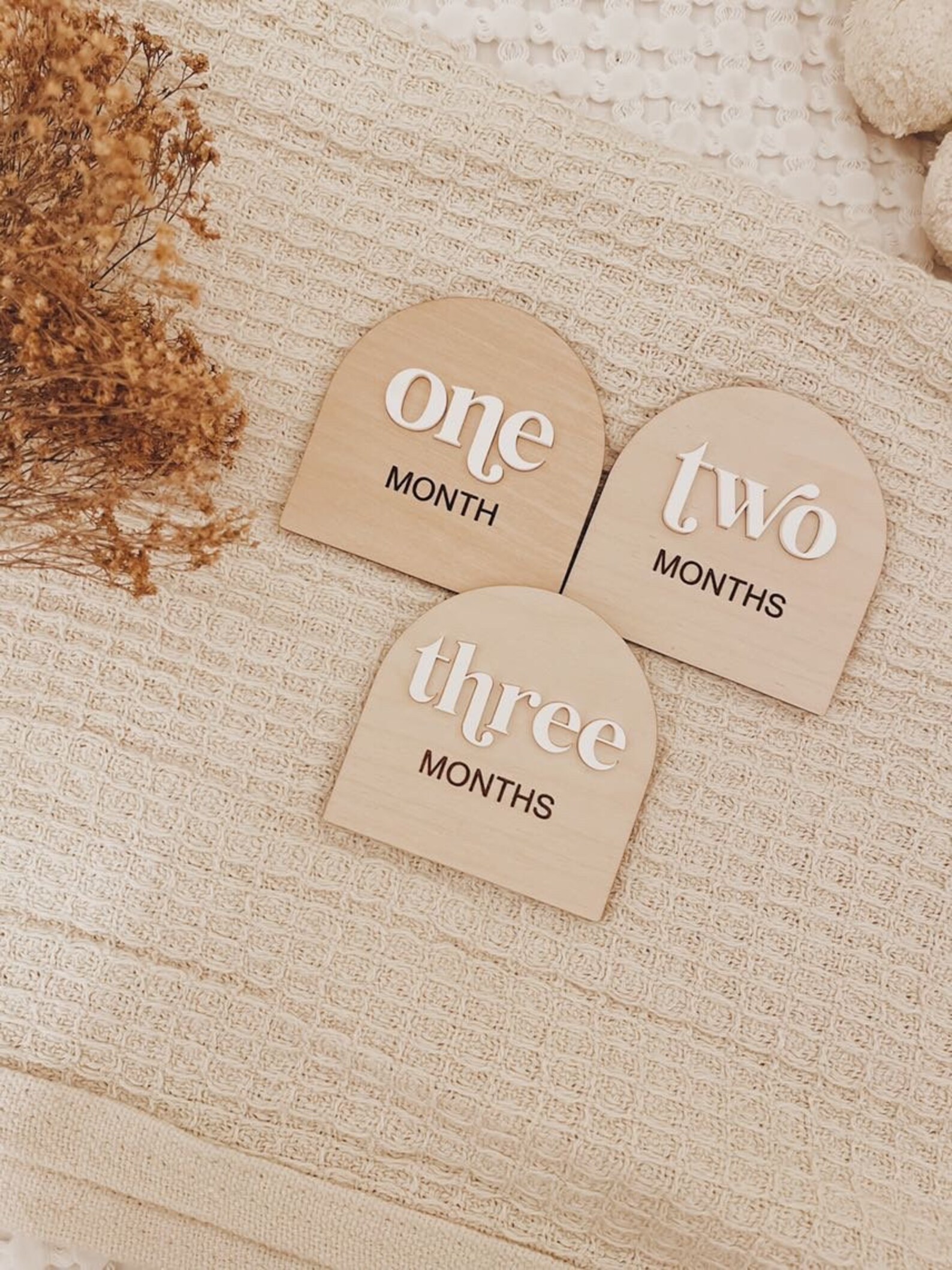 Arched Baby Milestone Markers Baby Milestone Photo Prop - Etsy