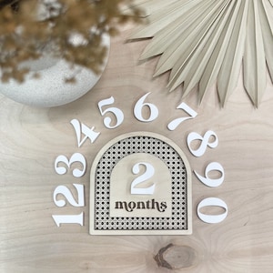 Boho Rattan Monthly Milestone | Interchangeable Monthly Milestone ...