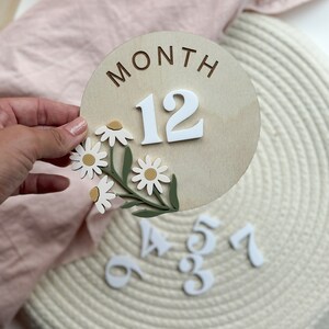 Wooden Milestones Set, Interchangeable Monthly Milestones, Baby ...