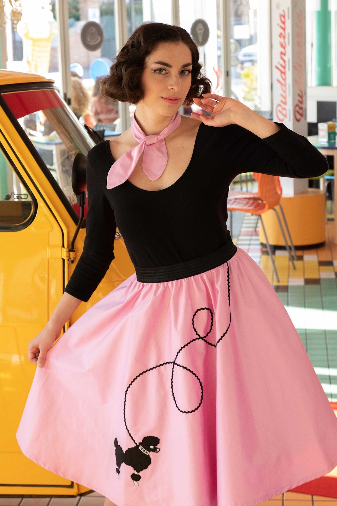 1950's POODLE SKIRT, Adult, One Size, Blue and Pink - Etsy