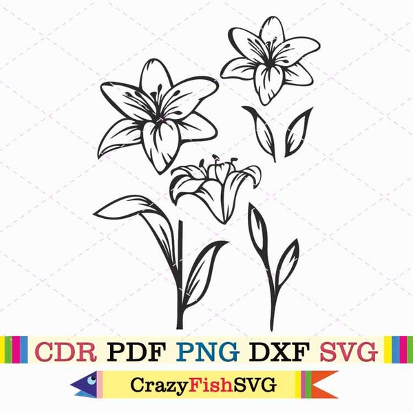 Lily Svg - Etsy