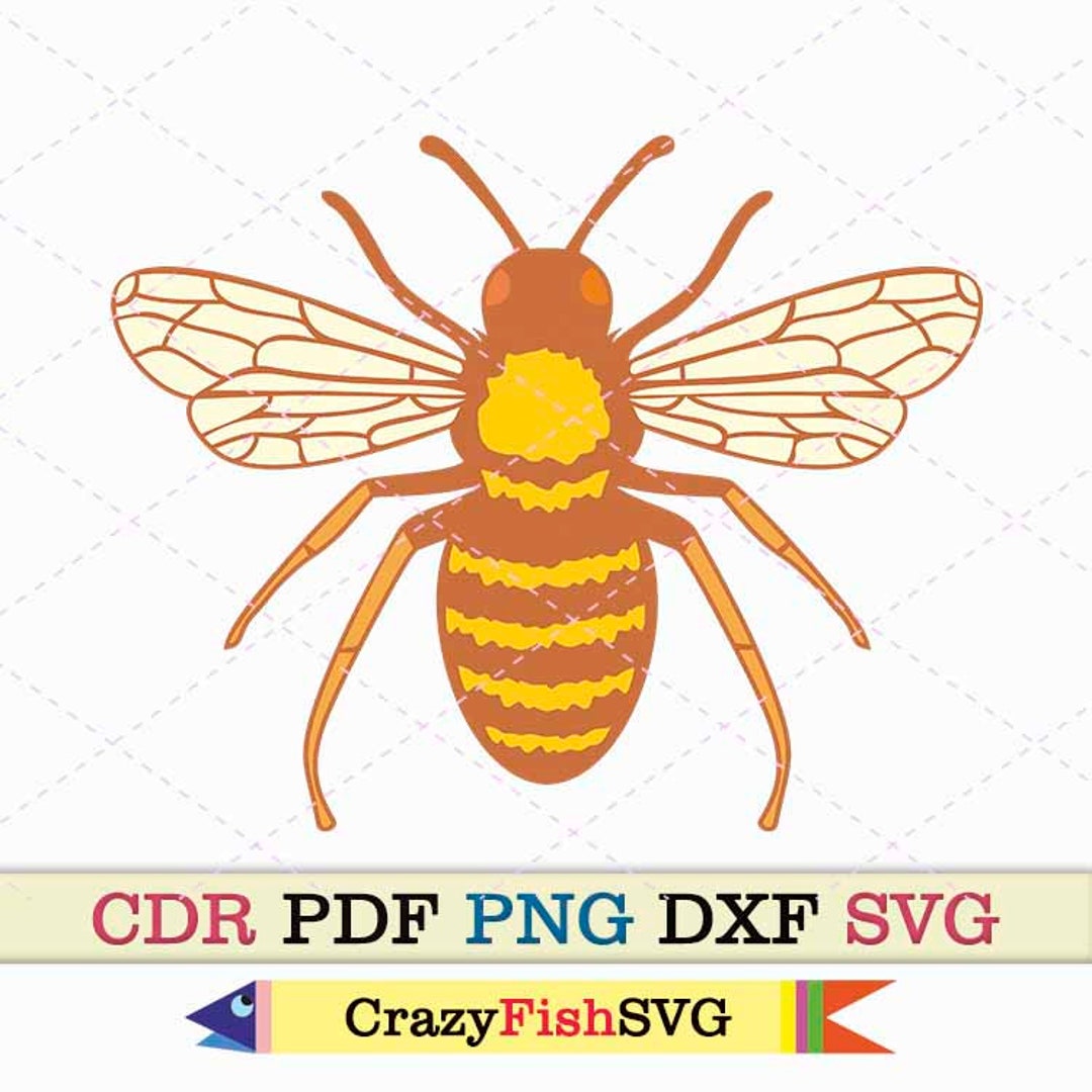 Bee Svg Clipart Png - Etsy