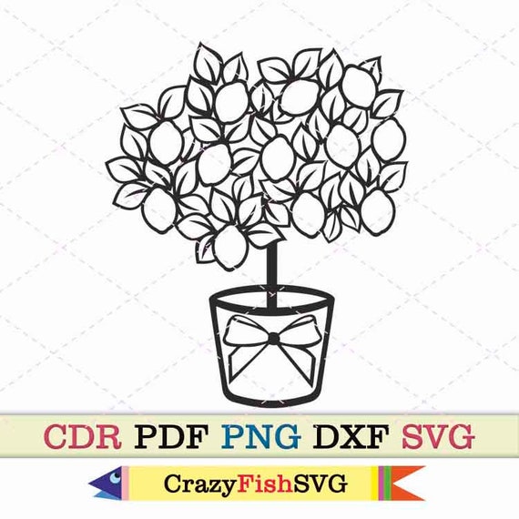 Lemon Tree Clipart Black And White