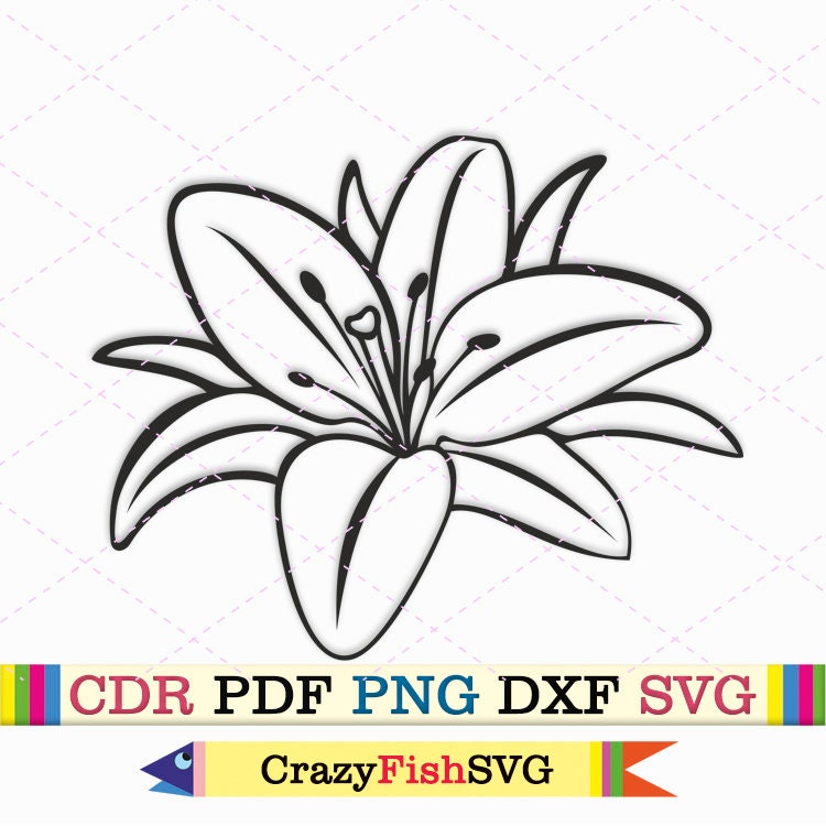 Lily Botanical Svg Garden Png - Etsy