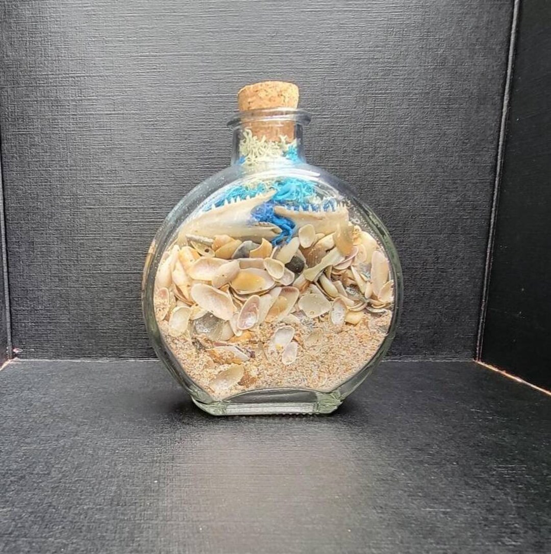 Bluefish Jaw Bone Display With St Augustine Shells/sand, Glass Jar ...