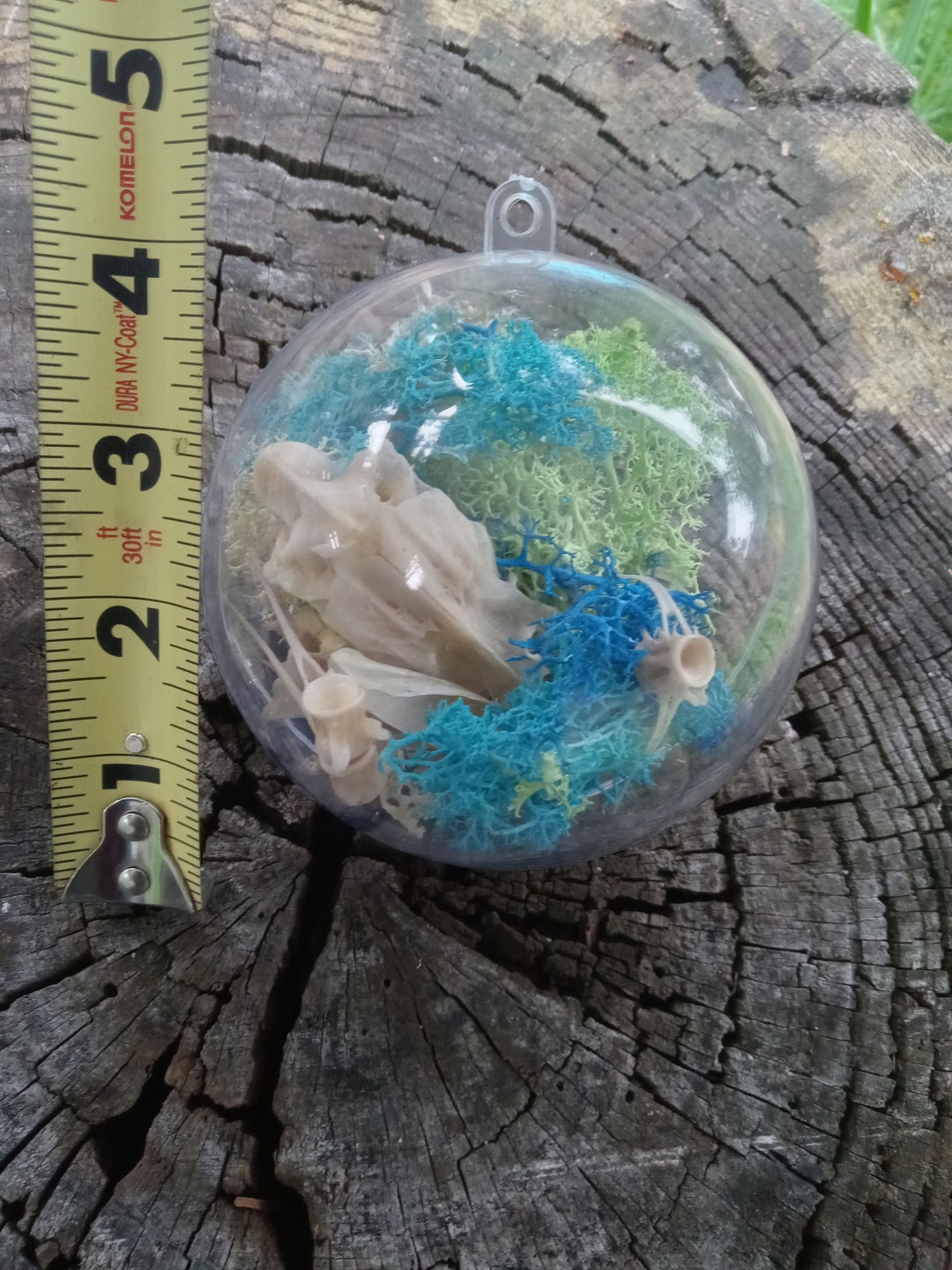 Large Oddity Ornament, Plastic Sphere, Oddity Display, Beach Findings ...