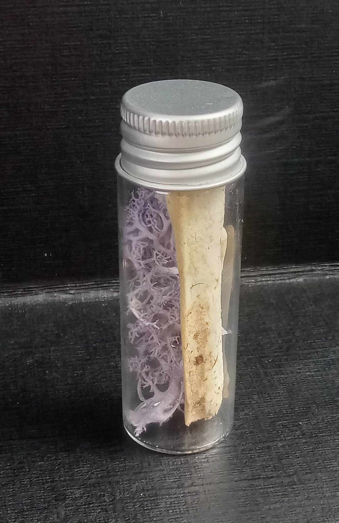 Small Jar Animal Bone Display, Oddity Decor, Unknown Bones, Moss, Glass ...