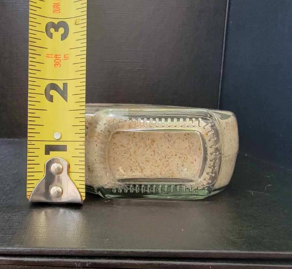 Bluefish Jaw Bone Display With St Augustine Shells/sand, Glass Jar ...