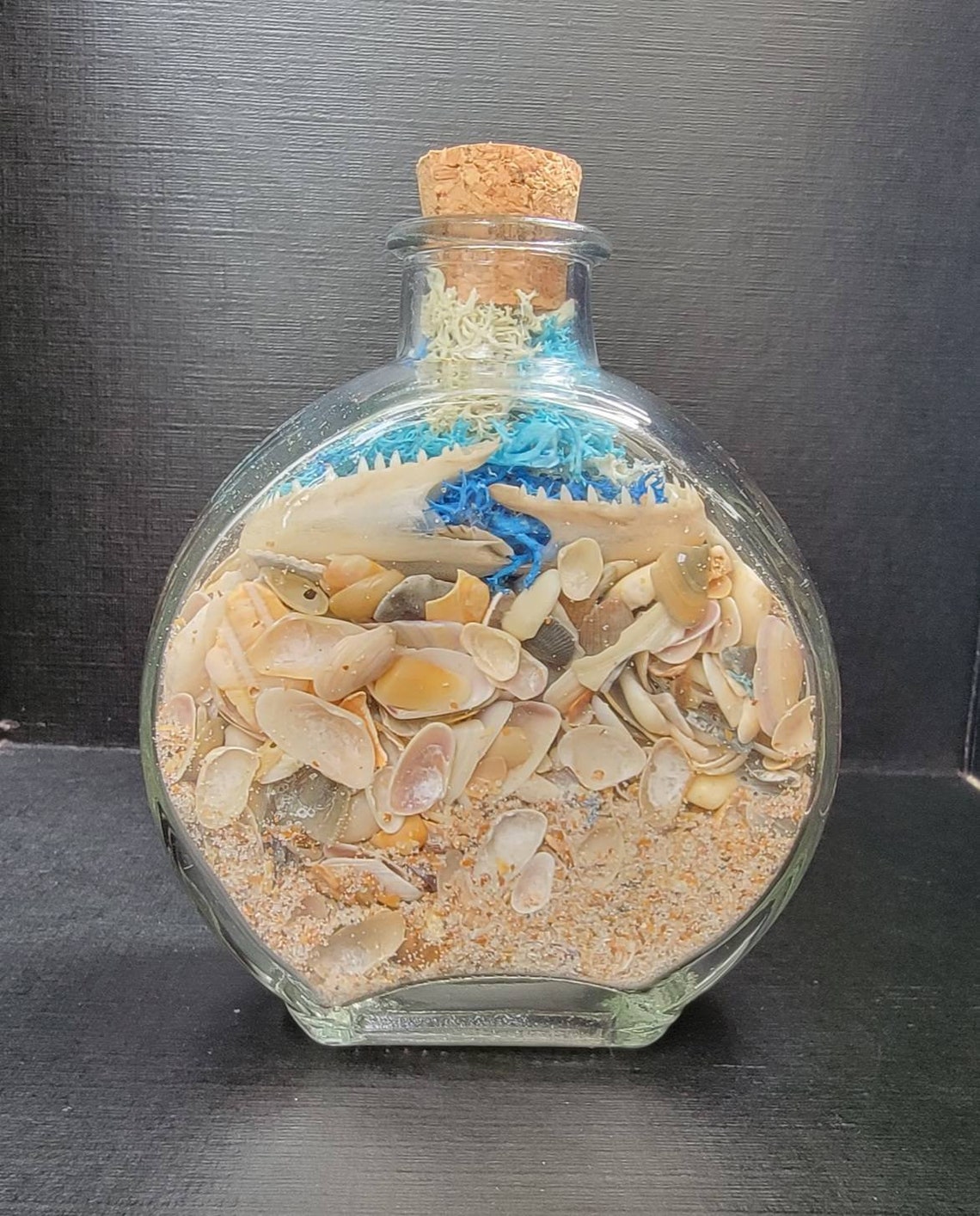 Bluefish Jaw Bone Display With St Augustine Shells/sand Glass - Etsy