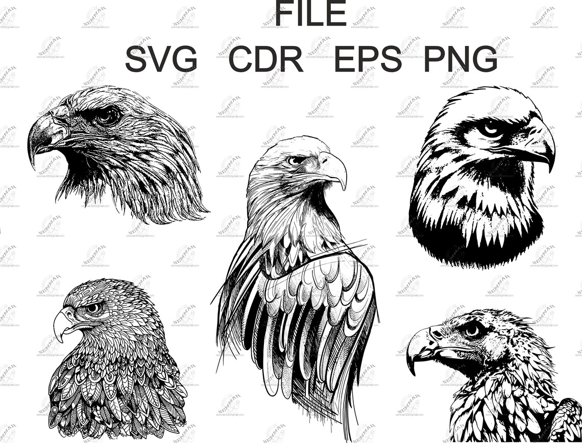 Bald Eagle Svg. Digital File. File for Laser, Cricket, Textile Printer ...