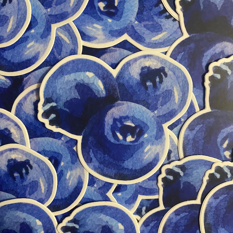 Blueberries Sticker Watercolour Hand Drawn High Quality Great ...