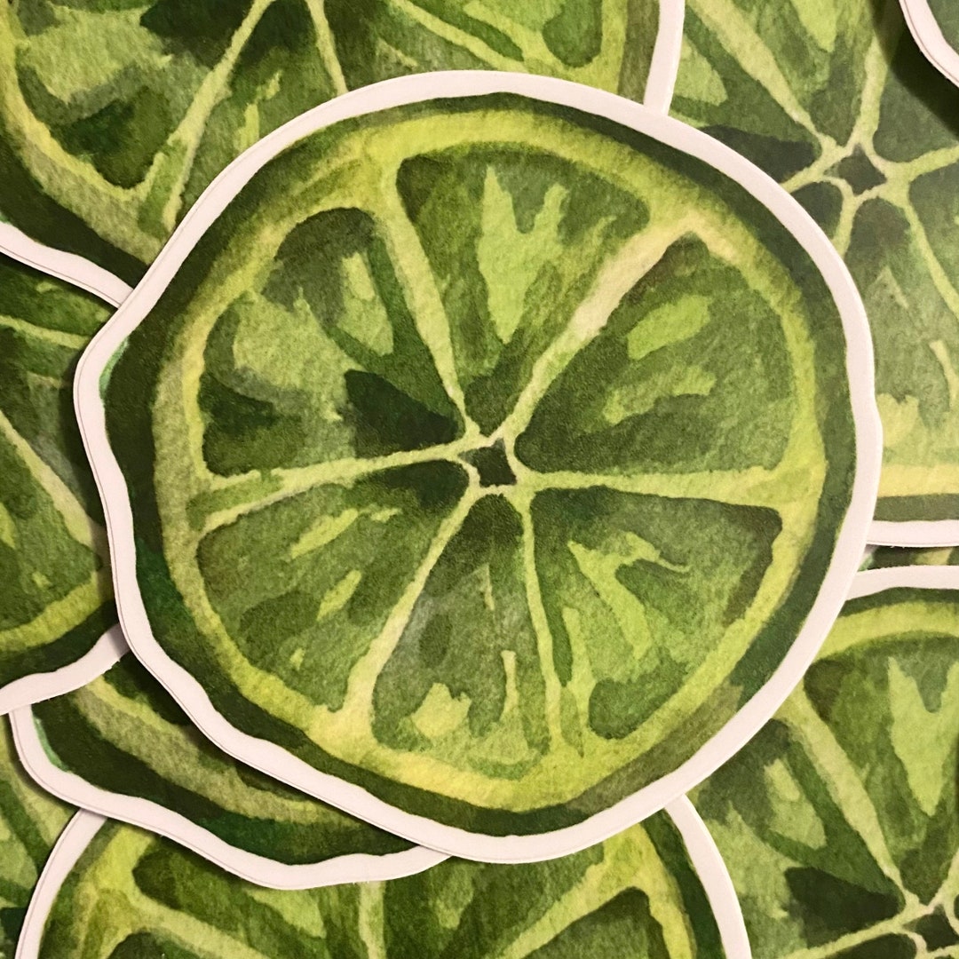 Lime Slice Sticker Bulk 50 Watercolour High Quality Great Decoration - Etsy