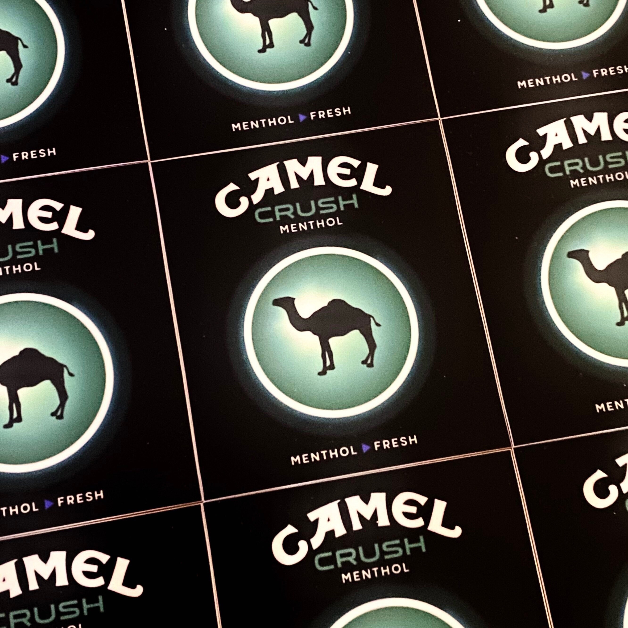 Camel Menthol Silver Cigarettes