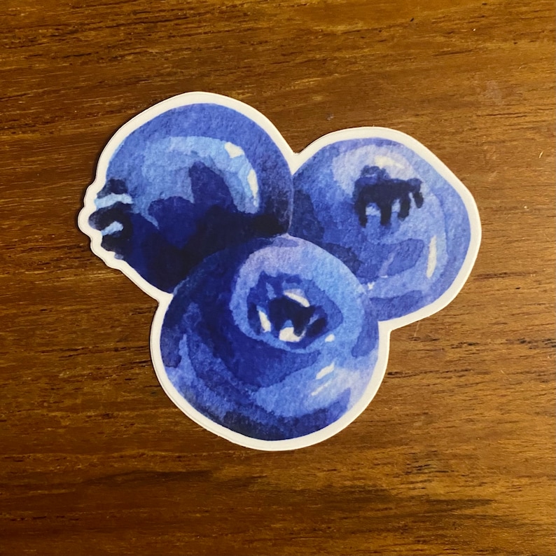 Blueberries Sticker Watercolour Hand Drawn High Quality Great ...