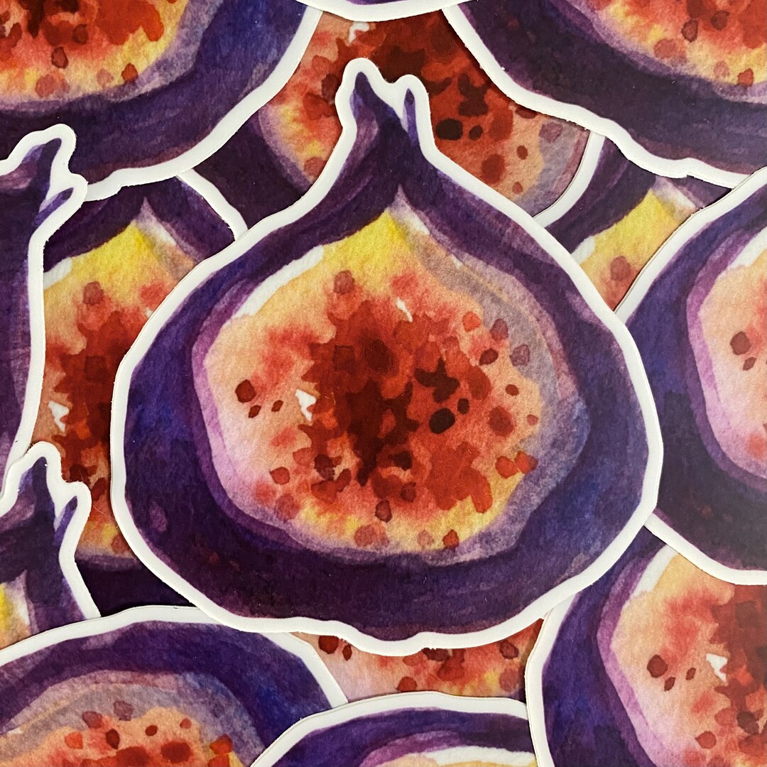 Fig Stickers Bulk Watercolour Handmade High Quality Great Decorations ...