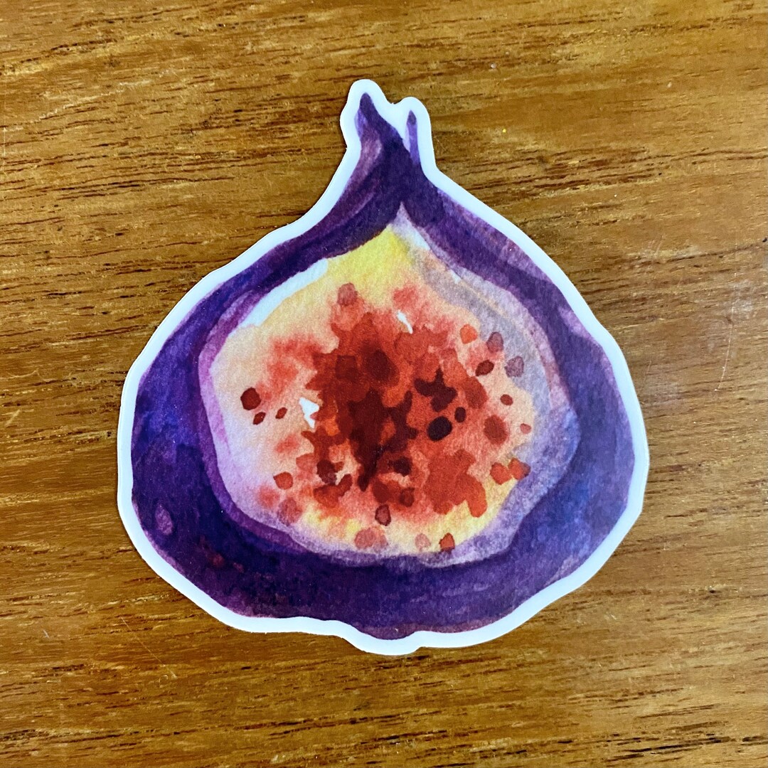 Fig Sticker Watercolour Handmade High Quality Great Decoration - Etsy