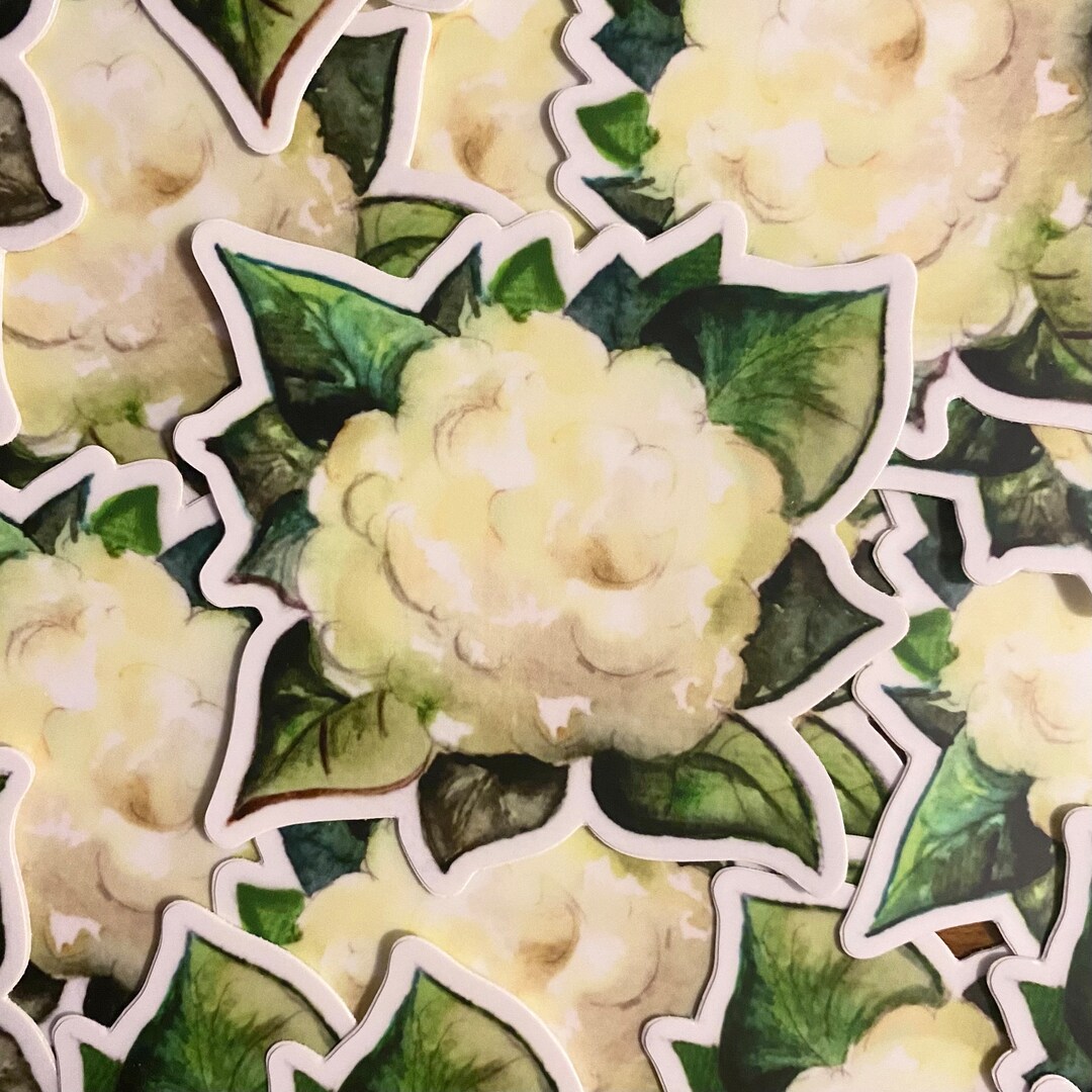 Cauliflower Sticker Bulk 50 Watercolour Handmade High Quality Great ...