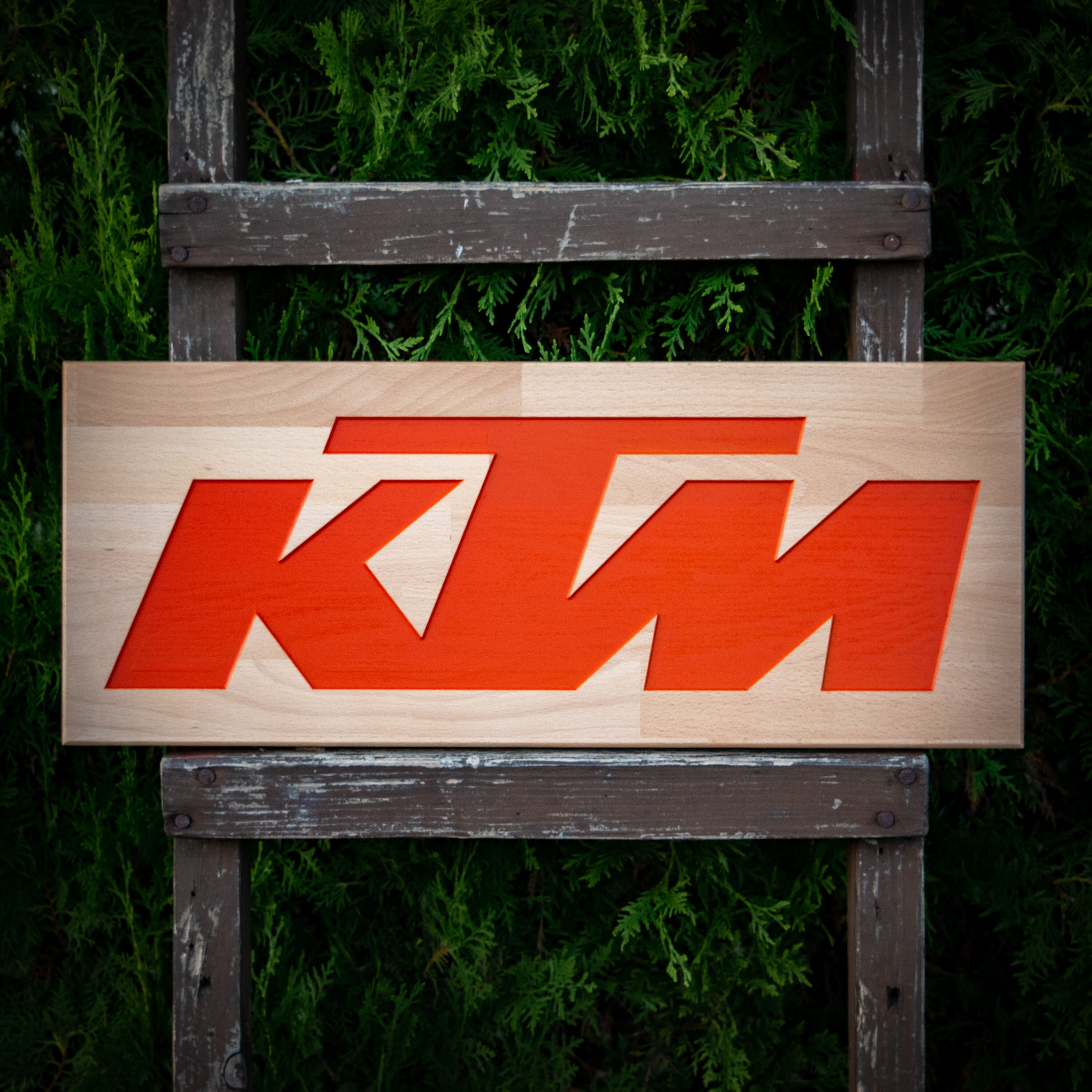 Custom Ktm Logo