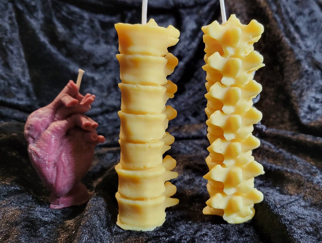 Anatomically Correct Individual Candles - Etsy
