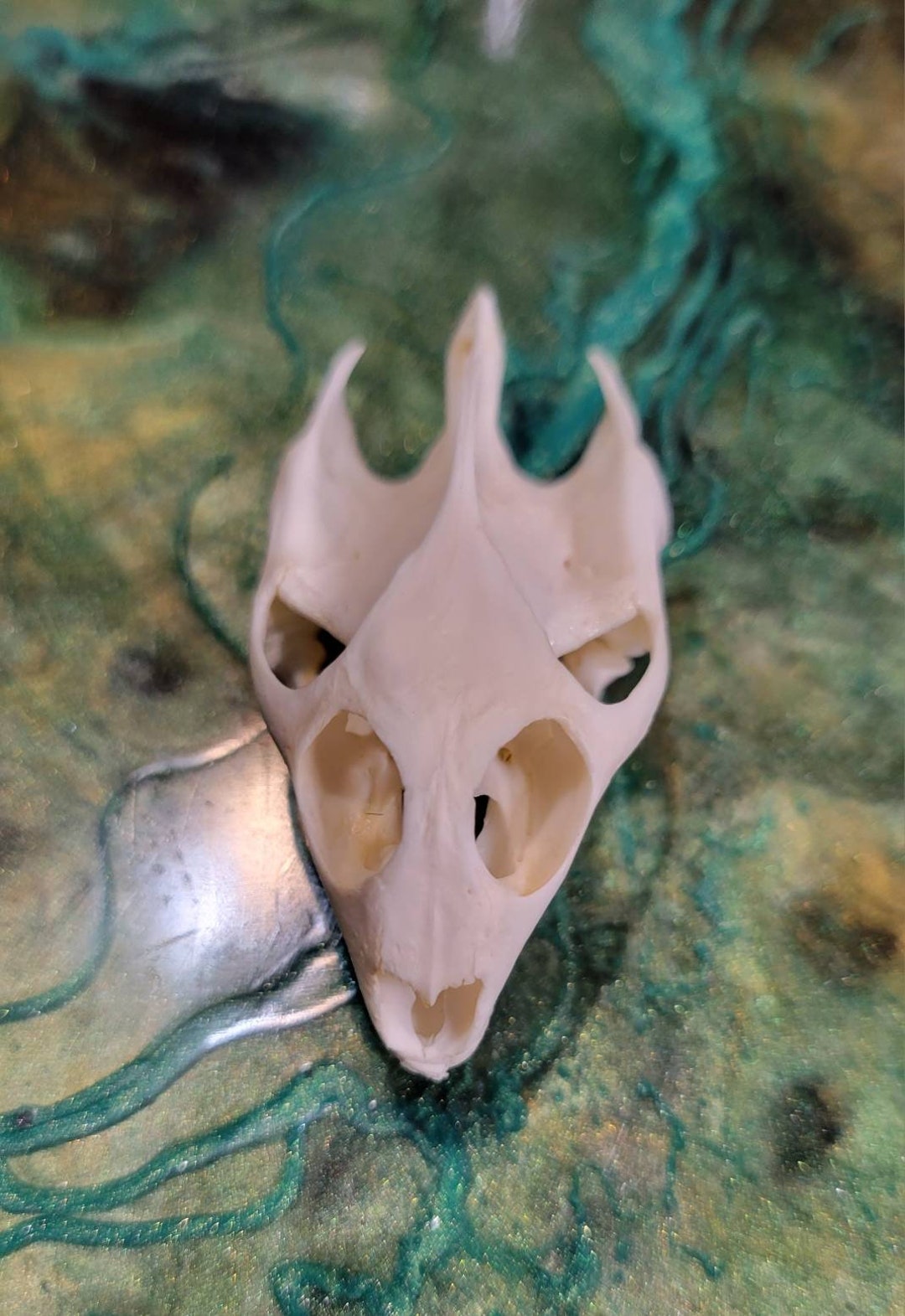 Turtle Skull - Etsy