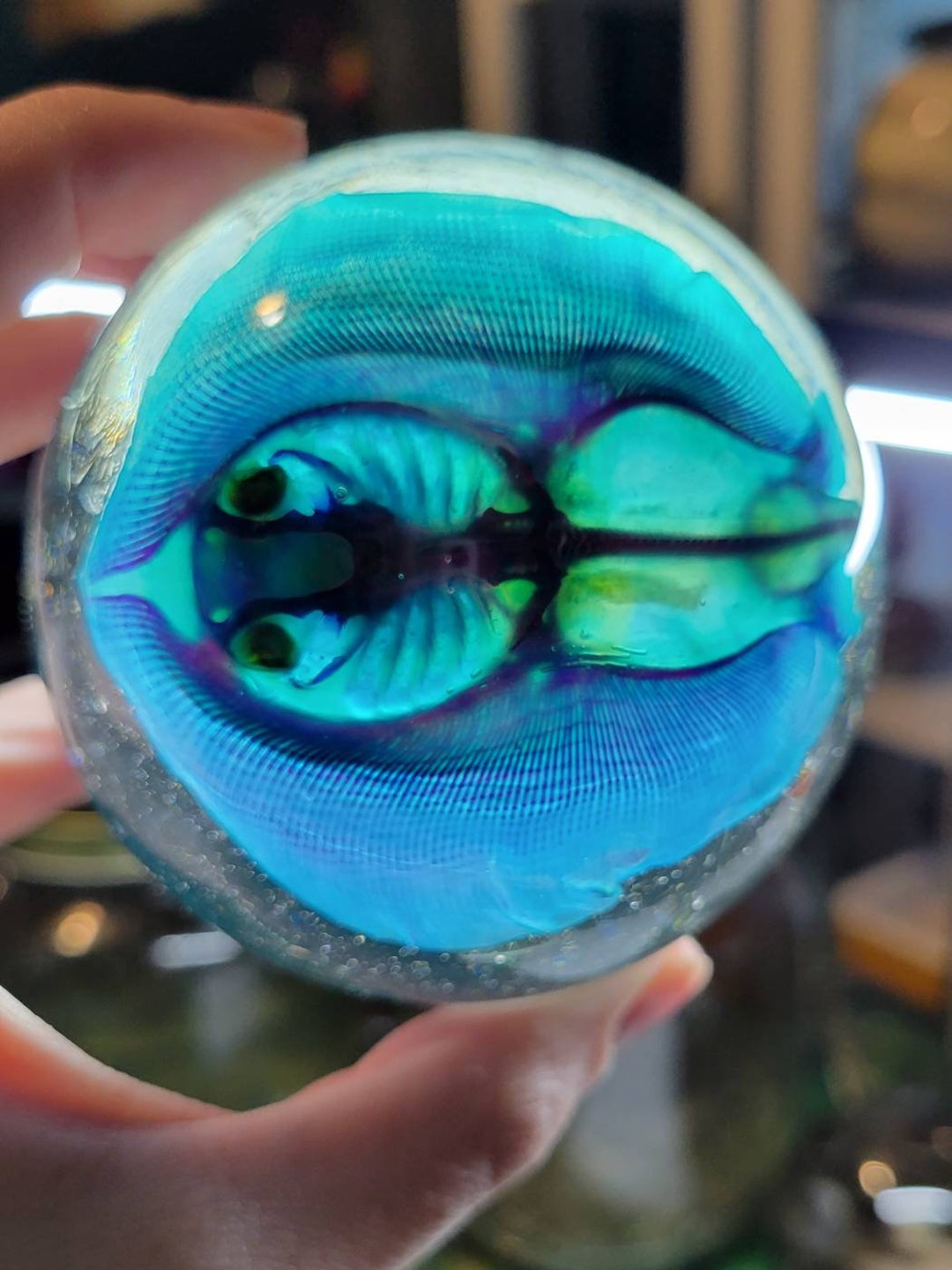 Diaphonized Stingray in 80mm Globe - Etsy
