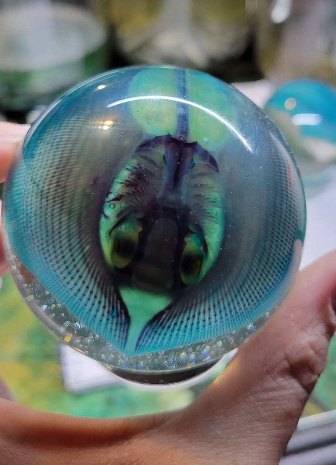 Diaphonized Stingray in 65mm Globe - Etsy