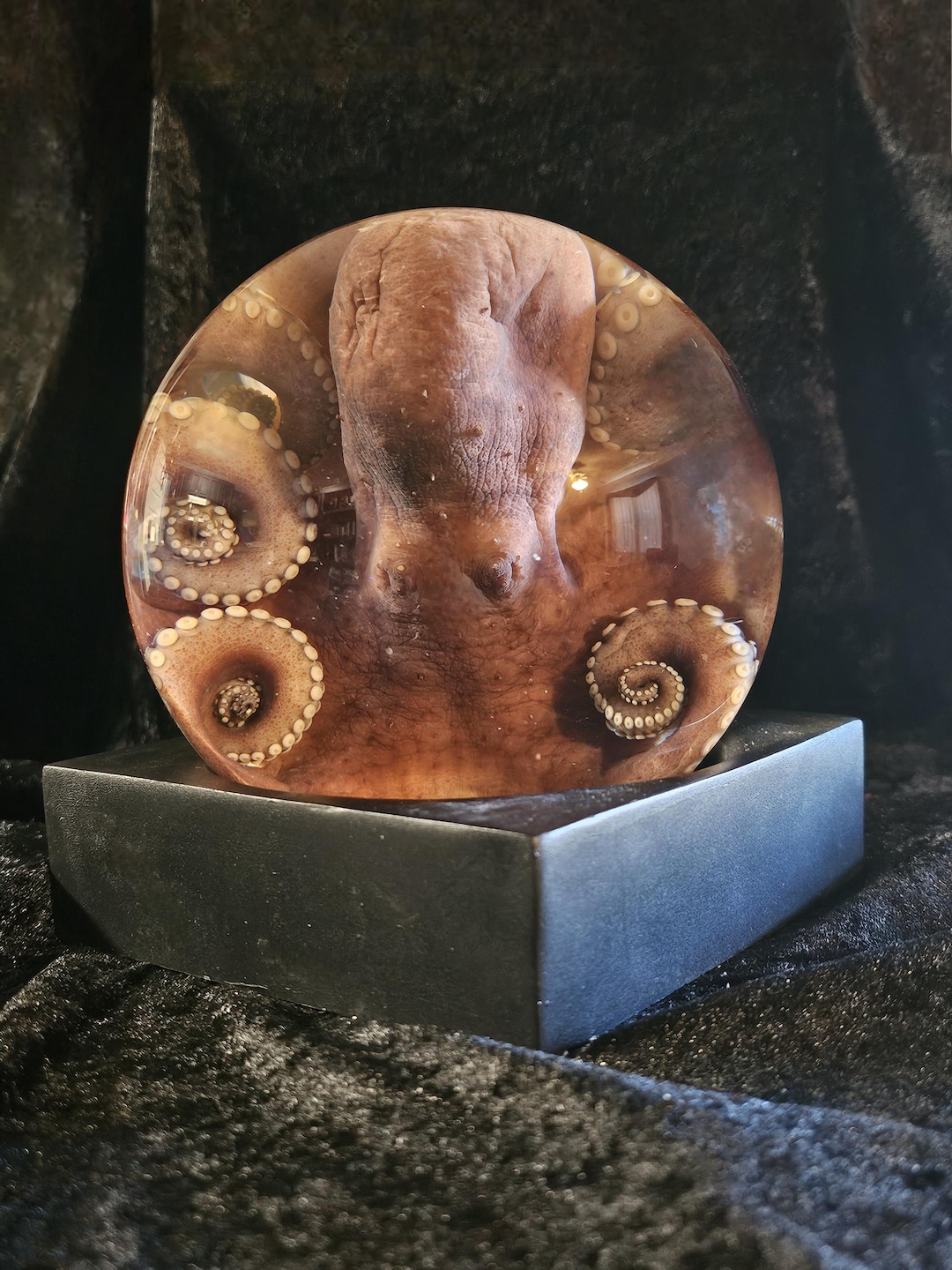 XL Octopus Globe 150mm Globe - Etsy