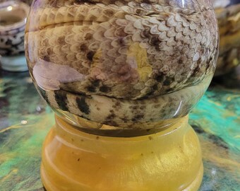 Resin Rattlesnake - Etsy