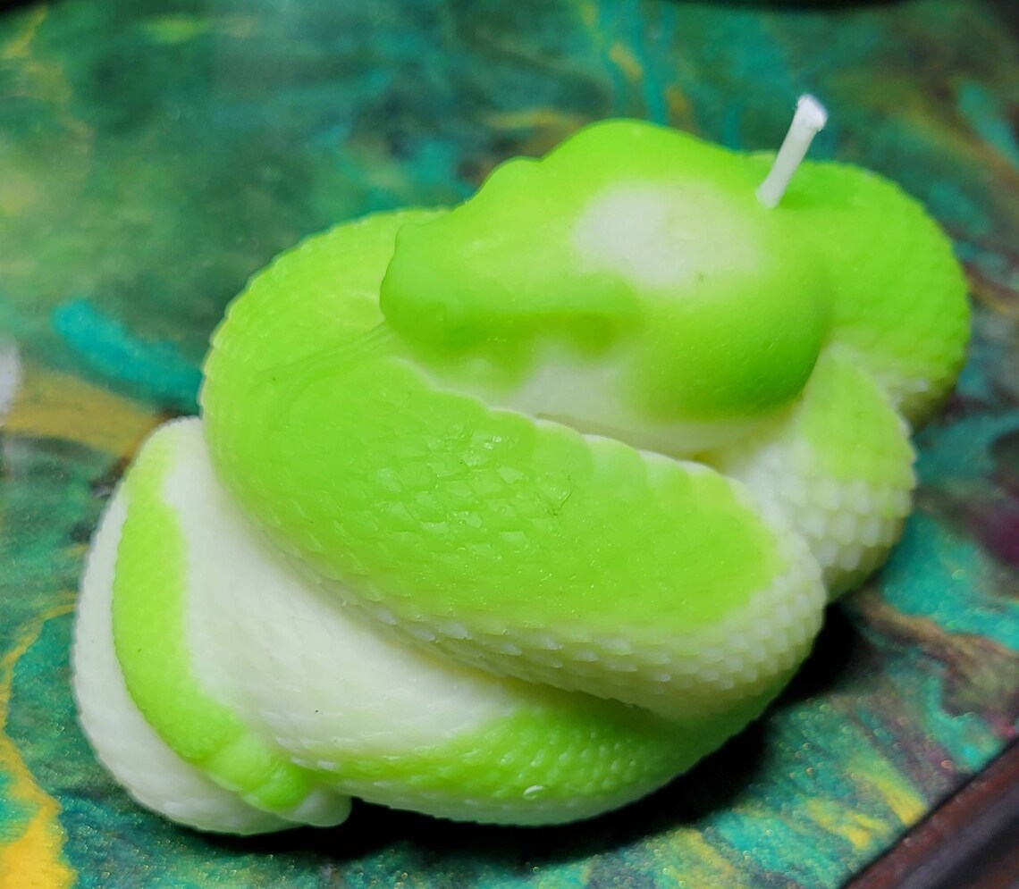 Ultra Realistic Snake Candle - Etsy