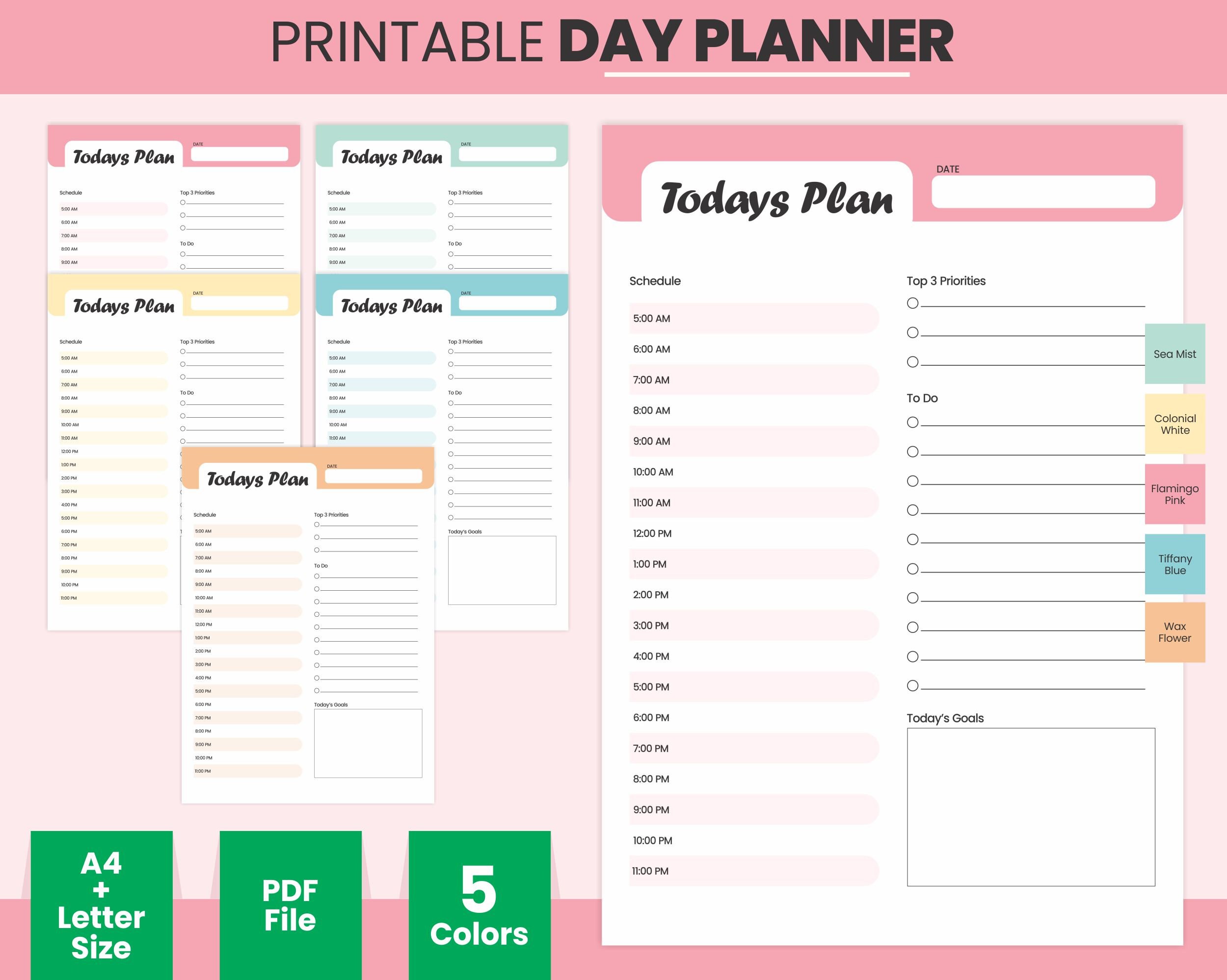 Printable A4 Day Planner 2022, Todays Plan Templat, Pdf Work Plans ...