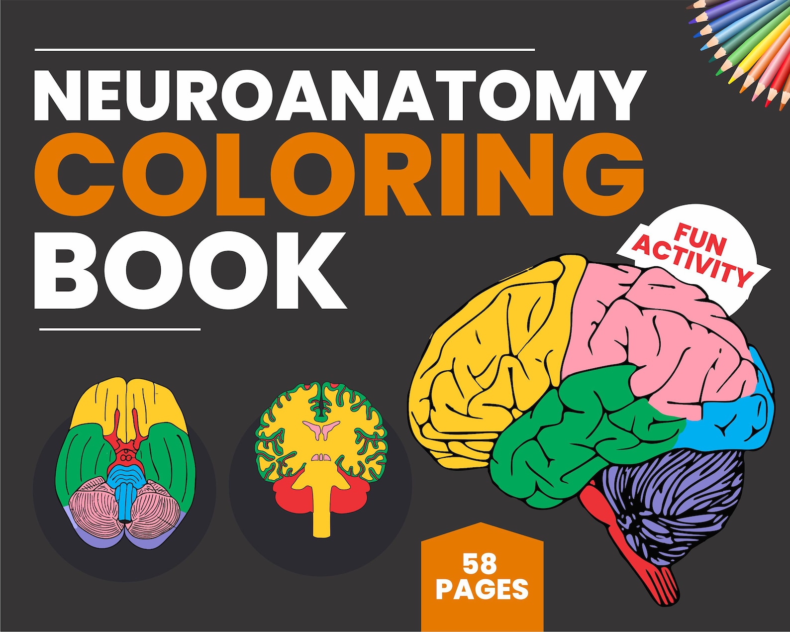 Printable Neuroanatomy Coloring Book, PDF Neuro Drawing Book ...