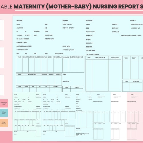 Printable Maternity Postpartum Nursing Report Sheet PDF - Etsy