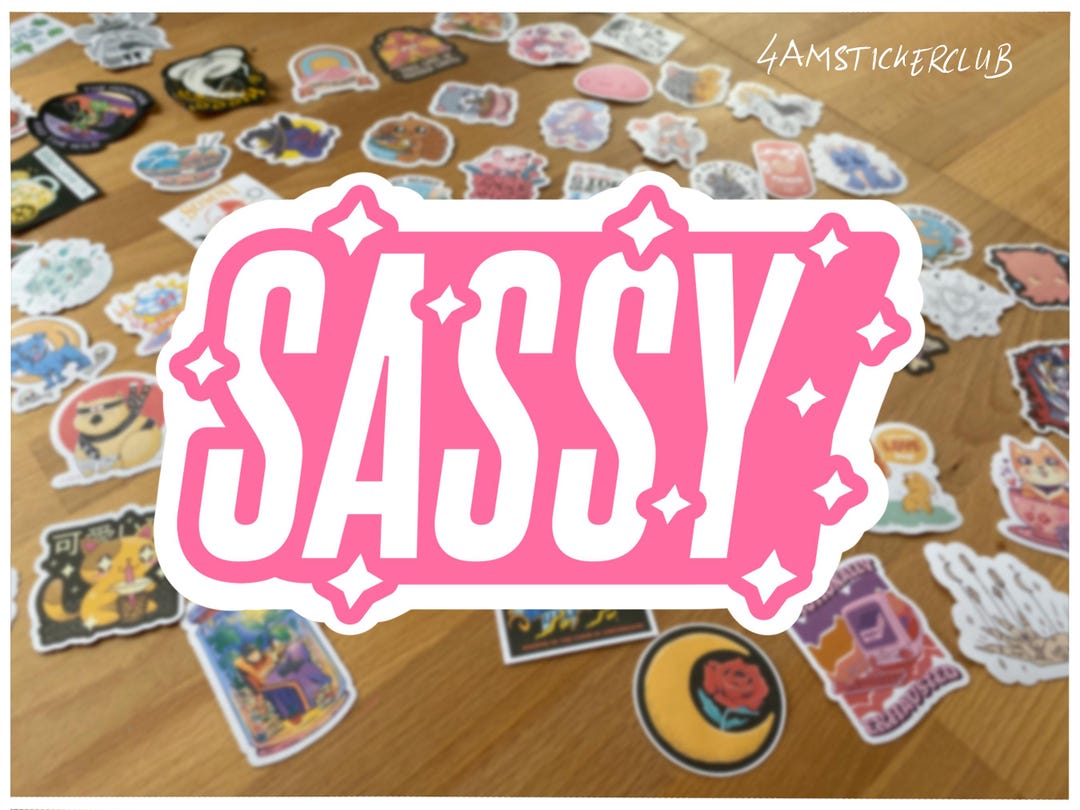 Sassy Pink Aesthetic Sticker Cute Sparkle Vinyl or Matte Waterproof ...