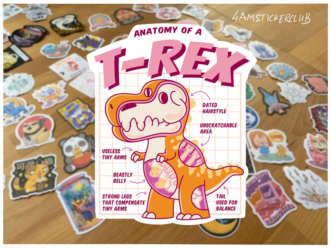 Anatomy of a Trex Sticker Cute Tyrannosaurus Artwork Funny Anatomy of ...