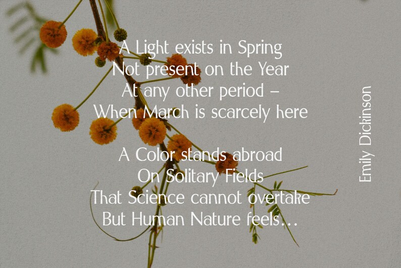 Spring Melody - Humanist Font | Paris Font, Travel Font, Luxury Font ...