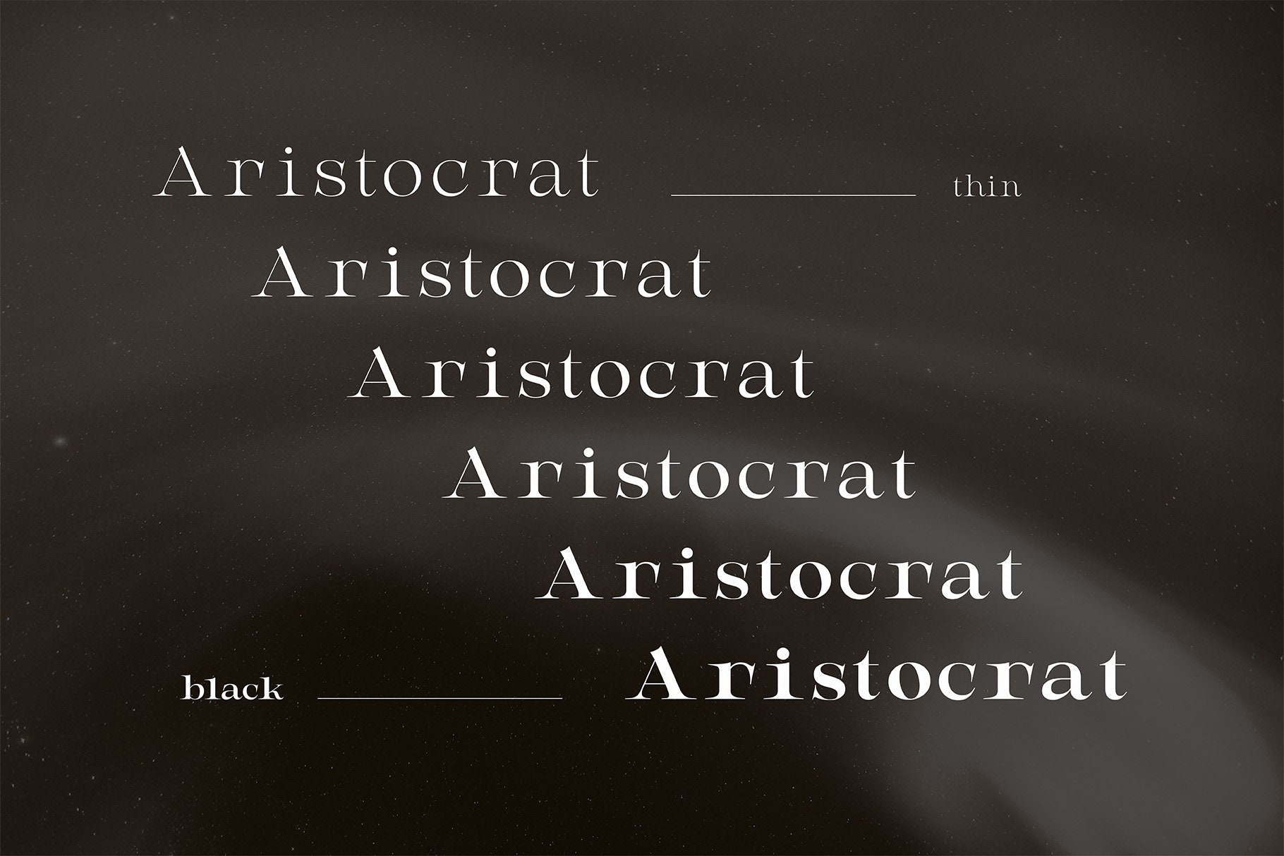 Aristocratestate - Luxury Serif Font | Classy Font, Elegant Font ...