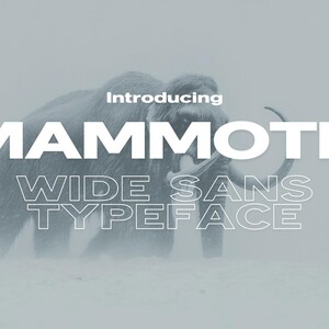 Mammoth - Wide & Bold Font | Hipster Font, Headline Font, Poster Font ...