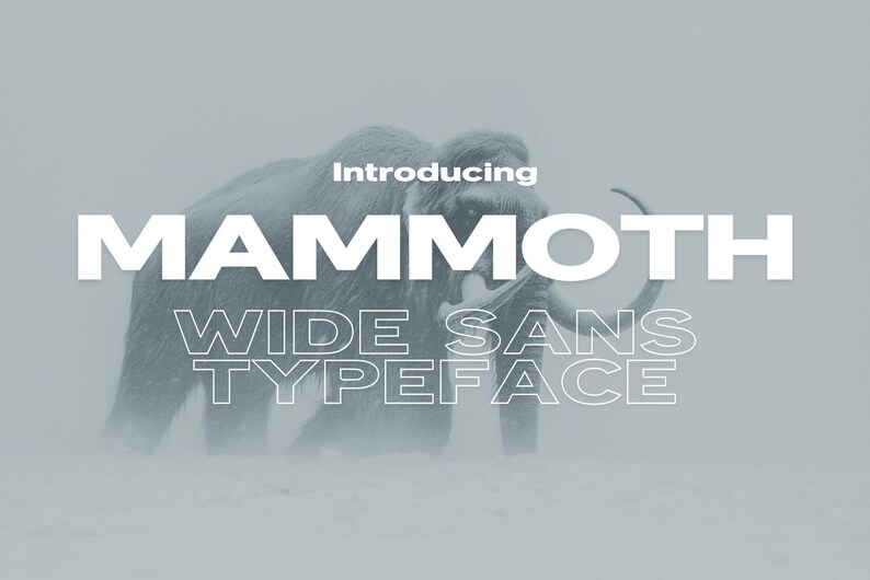 Mammoth - Wide & Bold Font | Hipster Font, Headline Font, Poster Font ...