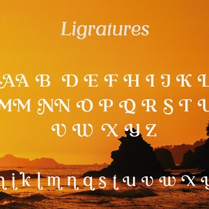 Vintage Oracle Font: Retro Charm Meets Modern Versatility - 18 Weights ...