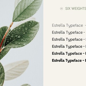 Estrella - Modern Sans Serif Font | Professional Font, Helvetica ...