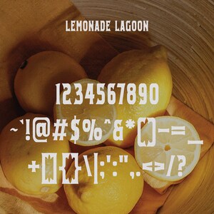 Lemonade Lagoon Font: Vintage Charm & Modern Clarity. Perfect for Logos ...