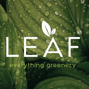 Amenti - Clean Modern Font | Resume Font, Professional Font, Business ...