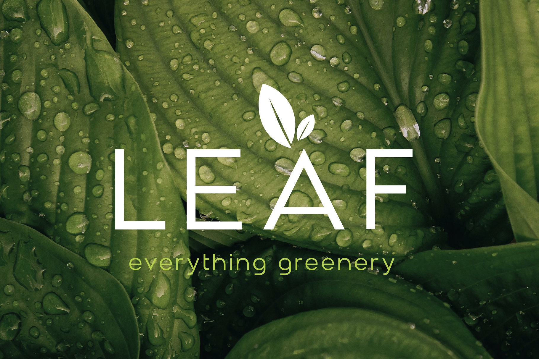 Amenti - Clean Modern Font | Resume Font, Professional Font, Business ...