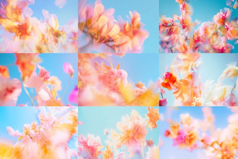 60 Ethereal Bloomscape Wallpapers – Dreamy Aesthetic Floral Backgrounds ...