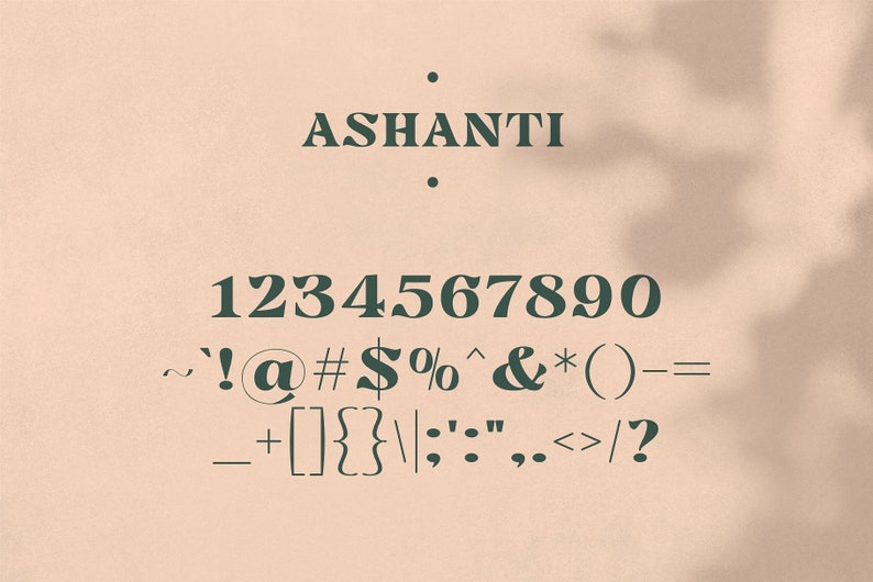 Ashanti Elegant Serif Font Display Font Branding Font - Etsy