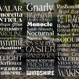 195 Luxurious Old Money Inspired Fonts, 42 Families. Timeless Aesthetic ...