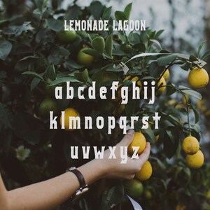 Lemonade Lagoon Font: Vintage Charm & Modern Clarity. Perfect for Logos ...