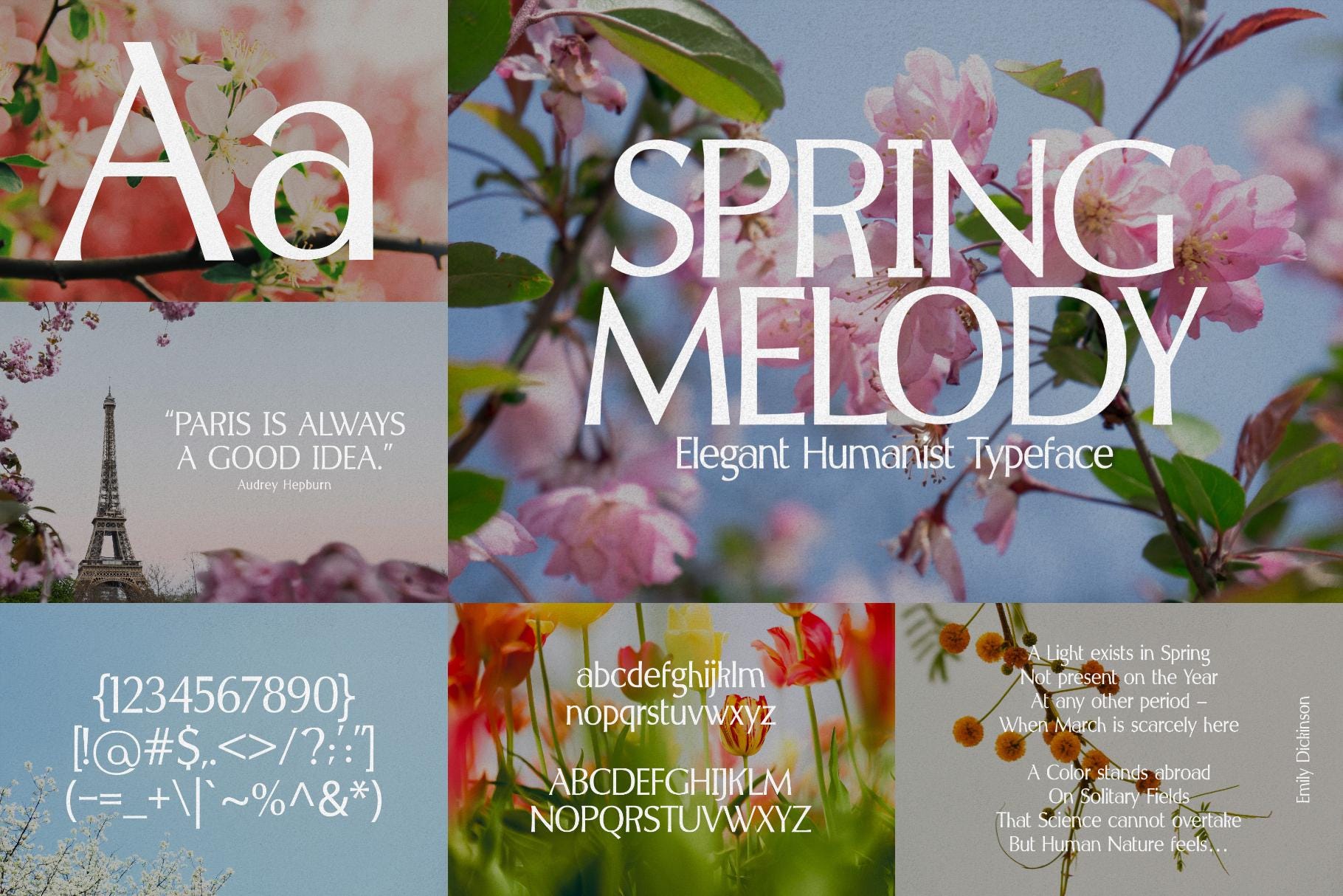 Art Deco Font Bundle - 21 Elegant 1920s & 1930s Fonts. Gatsby, Vintage ...