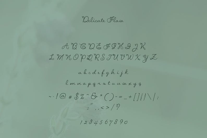 Delicate Flow - Signature Script Typeface - Etsy