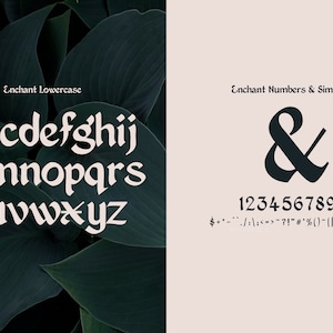 Enchant - Mystical 1600s Typeface | Gothic Font, Blackletter Fonts ...